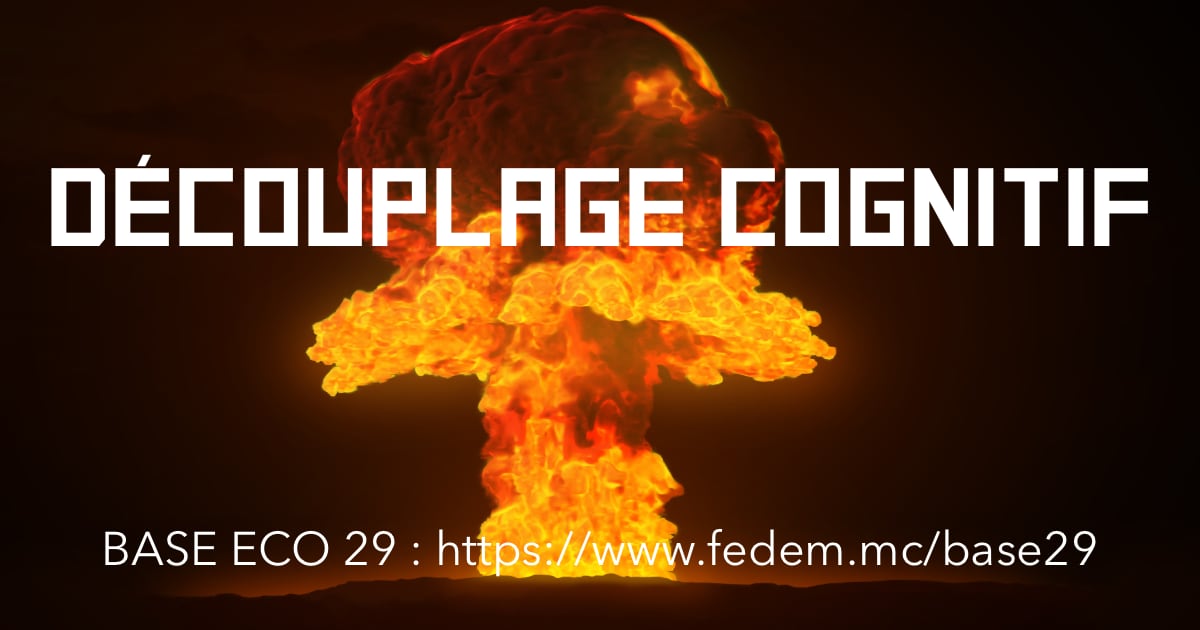 Base Éco 29 : Découplage cognitif | FEDEM